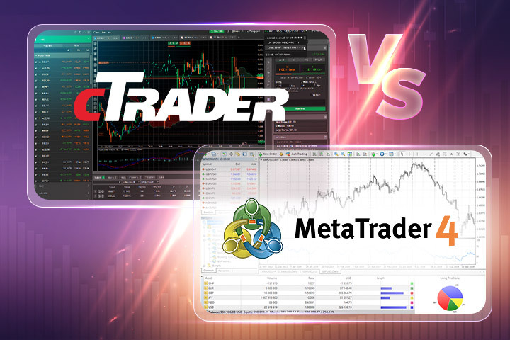 cTrader vs MetaTrader 4: Which platform to choose? - Purple Trading