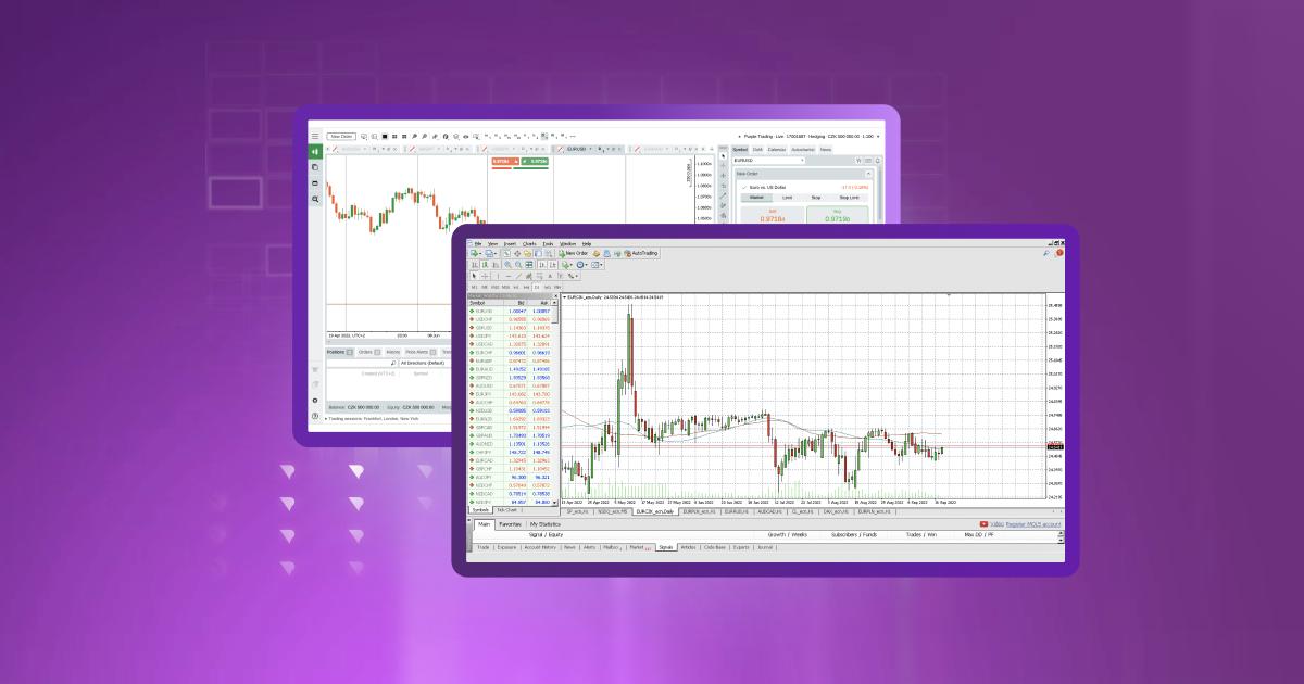 Purple Trading Real Account - Purple Trading