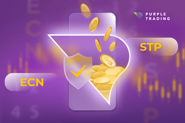 Deposits and Withdrawals - Purple Trading